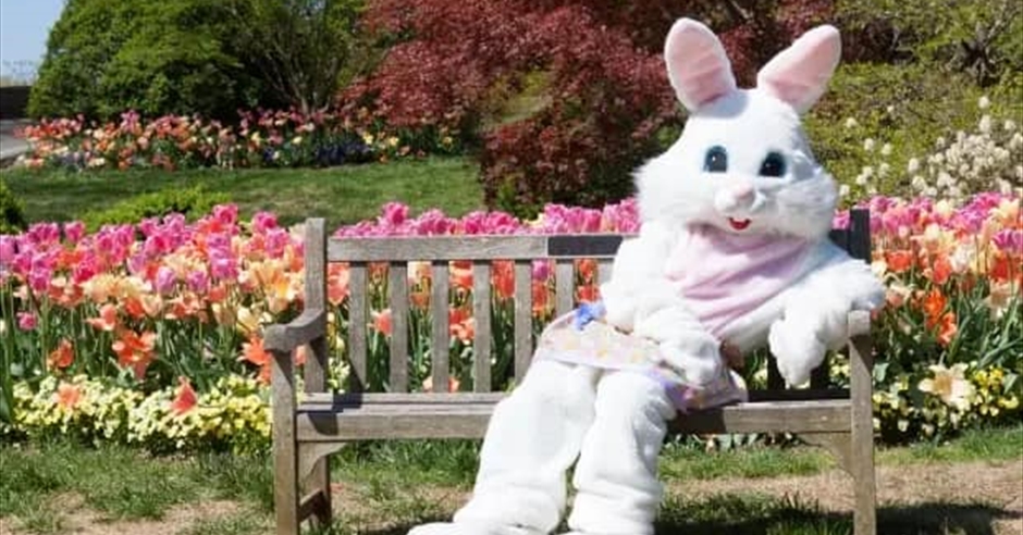 Easter Hunt at the Farm - Lisbellaw - Fermanagh Lakelands