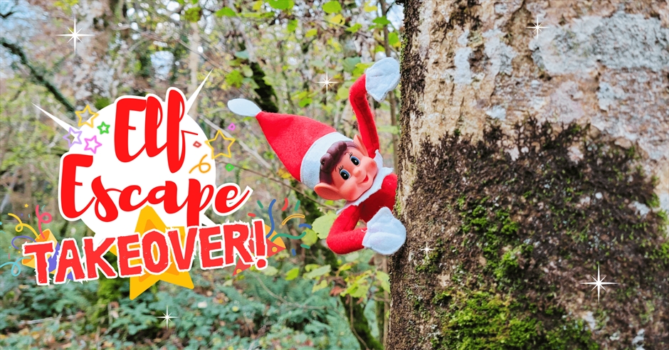 Christmas Elf Escape Takeover - Florencecourt - Fermanagh Lakelands