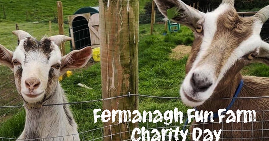 Fermanagh Fun Farm Charity Day - - Fermanagh Lakelands