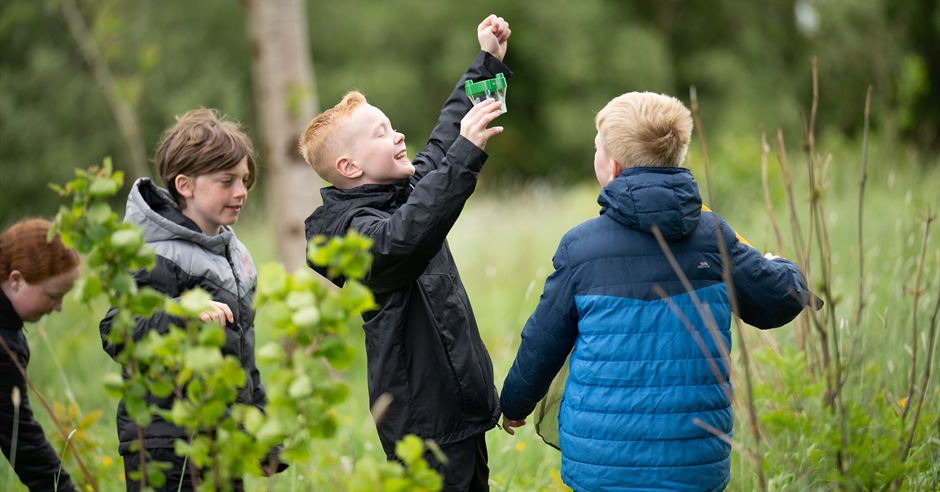 Magnificent Minibeasts on European Heritage Open Day Saturday 14 ...