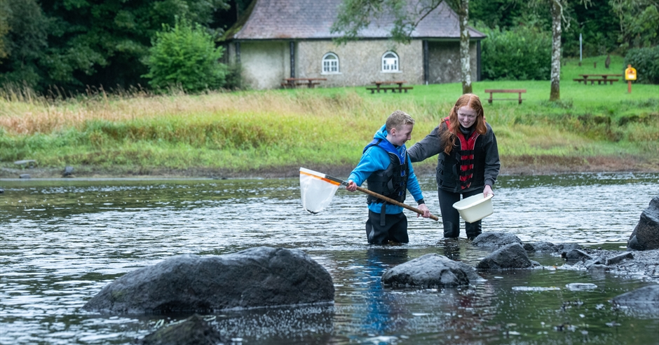 Lough, Land And Sky: Pond Dipping At Lough MacNean, World Environment ...