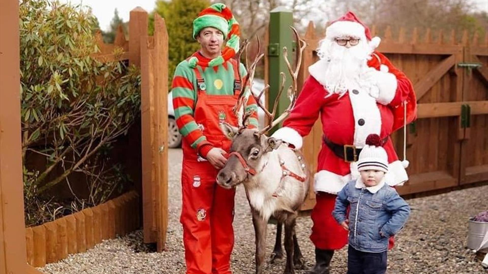 Christmas Experience At Fermanagh Fun Farm Lisbellaw Fermanagh