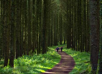 Cuilcagh Lakelands UNESCO Global Geopark - - Fermanagh Lakelands